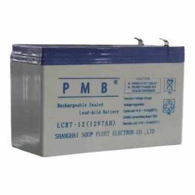 PMB蓄电池 LCPA/12V17AH24AH40AH50AH65AH100AH120AH UPS/EPS消防