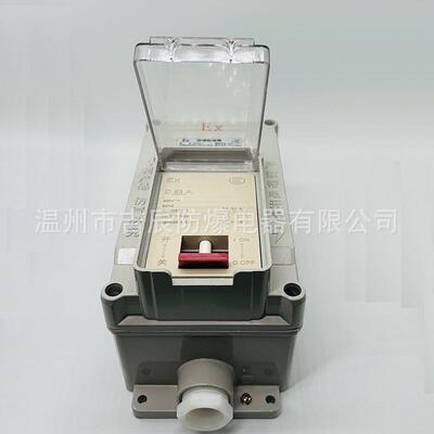 温州松大防爆配电箱BPZ40-1/6A10A16A25A32A/63A防爆回路箱