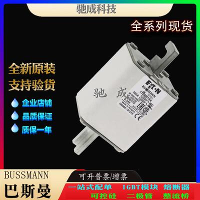 巴斯曼170M5193 170M5194 170M5195 厂家供货零售 快速保险丝