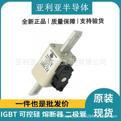 170M3696 170M3744 交流熔断器 快速保险丝 全新现货 原厂原标适