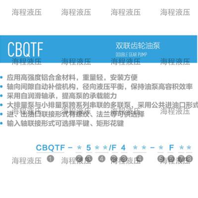 CBQTF系列齿轮油泵双联泵C齿轮泵