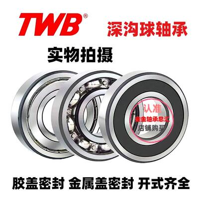TWB帝达贝6415 6416 6417 6418 6419震动机6420 6422 6424-RS 2ZE