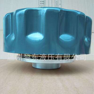 厂家直销HPH SFT-04-06-08-10-12-16-20-24-32150U100W吸油过滤器