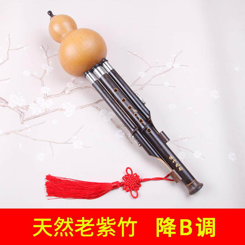高档竹傣之 专业演奏型录音成型葫芦丝 降b调 C调 人乐器韵云南