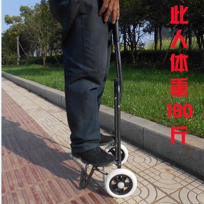 grocery shopping cart portable trolley car luggage