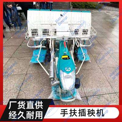 农用插秧机 水肥机手扶步进式4行6行水稻种植机 小型栽苗机插秧机