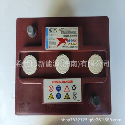 TROJAN邱健TE35美国进口蓄电池6V245AH 适用于EZGO高尔夫球车
