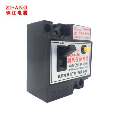高档珠江家用漏电断相路器220aV两40a60安电漏保护器开关32 总开