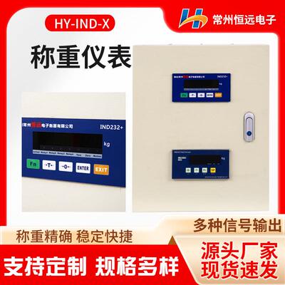 HY-IND-X称重仪表工程隔爆型称重显示器化工包装秤配料秤仪表