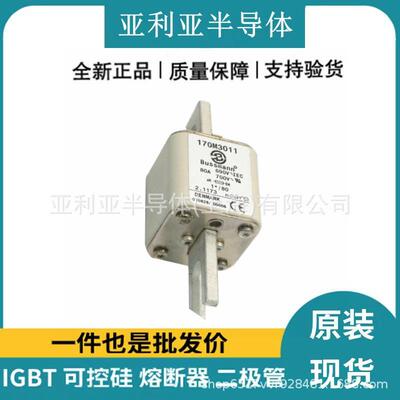 原厂现货170M3011加底座170M3013电流保护陶瓷熔断器电子元