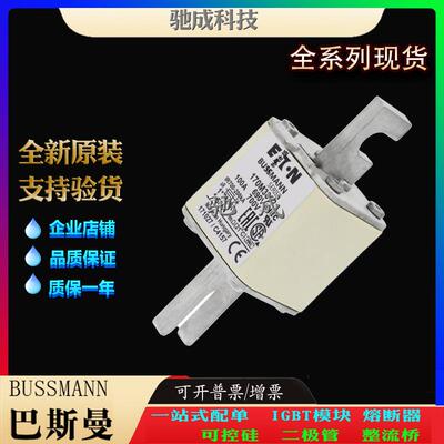 巴斯曼170M3062 170M3063 170M3064 厂家原装优价供应 低压熔断器