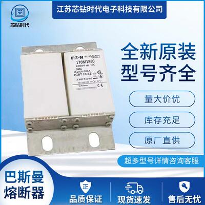 170M1866 170M1867 巴斯曼BUSSMANN熔断器保险丝
