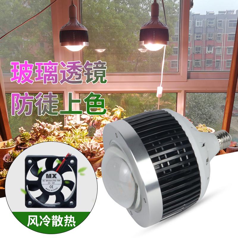 多肉补光灯全光谱led球泡筒灯专用家用上色室内仿太阳植物生长灯