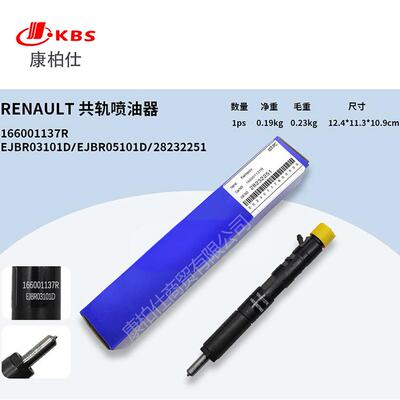 德尔福共轨喷油器28232251 166001137R EJBR03101D EJBR05101D