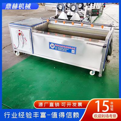 全自动果清蔬机 洗红枣枣气泡清QUE洗机 多功能蔬菜水果大清洗线