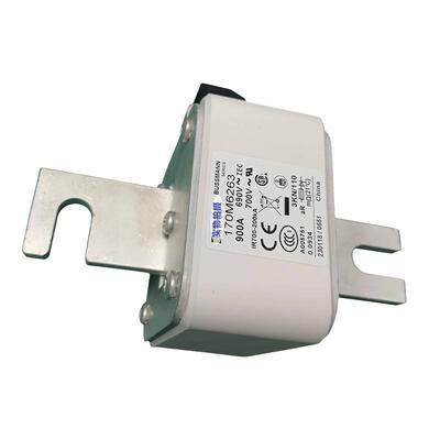 巴斯曼快速熔断器170M6258 170M6259 170M6260 170M6261 170M6262