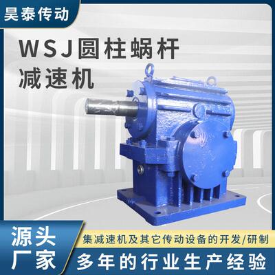 WSJ圆柱蜗杆速机多型号轴装式蜗轮蜗杆速机圆柱齿轮速机