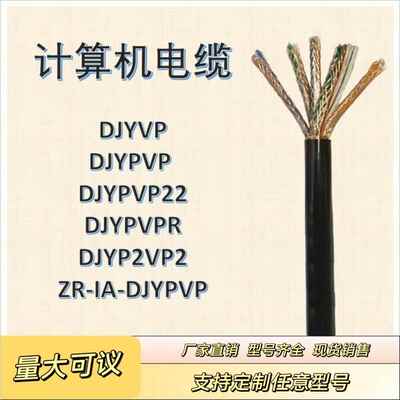 DJYPVP计算机电缆DJYPVP22 DJYP2VP2阻燃本安防爆超五类超六类线