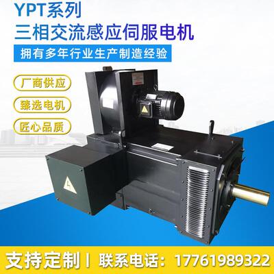 YPT280L-6三相交流感应伺服电机，355W,1000RPM,380V