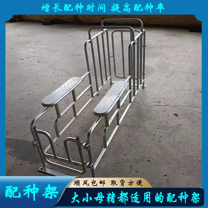母猪配种架配猪架子采用热镀锌管耐腐蚀不易生锈厂家直发现货供应