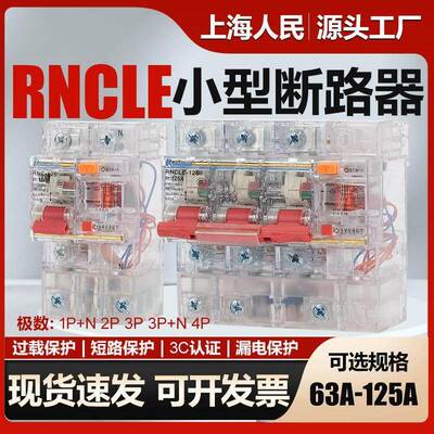 上海人民DZ47LE-80A100A125A 2P