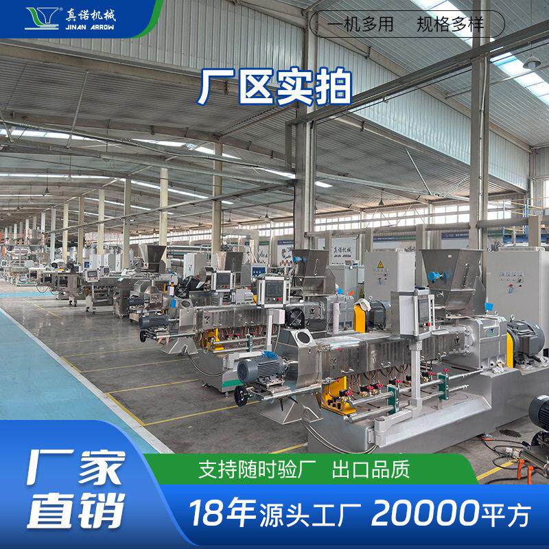 膨化设备生产厂家真诺休闲食品双螺杆挤压机苦荞小麻花加工机械