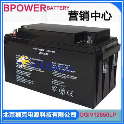 德国RPOWEY蓄电池OGiV12650LP移动设备12V65AHZSV系统专用