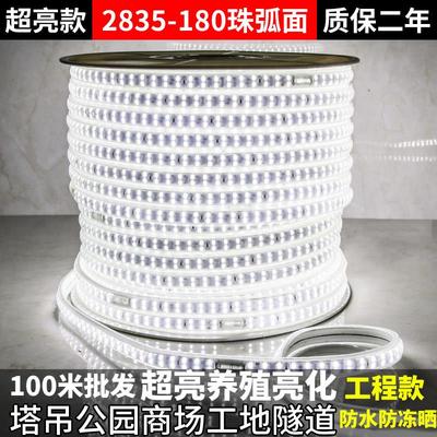 220Vled灯带白光户外防水工程127V养殖塔吊工地24V36V地下室AI