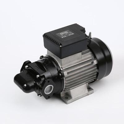 抽油泵，柴油泵 加油泵 AC Fuel Pumps YB100 BY100 E80