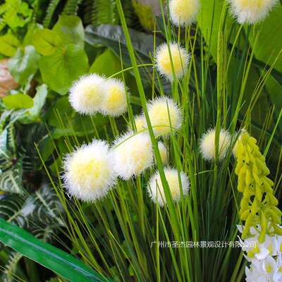 仿真植物外TOJ墙绿植墙室内绿化装物饰假植洋葱草米兰草人造植物
