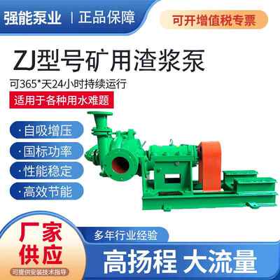 铜精矿渣浆泵尾矿压滤机入料泵高铬抽沙泵 ZJ型浮选矿用渣浆泵