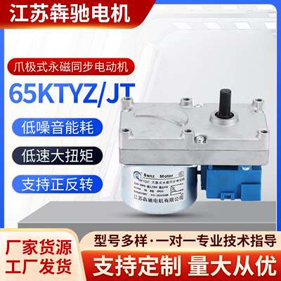 微型低速小马达65TYZ/JT爪极式永磁同步电动机交流有刷电机