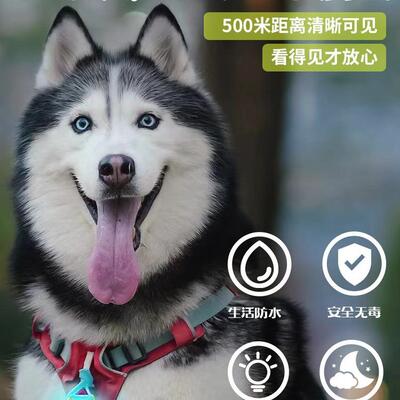 laroo莱诺狗狗夜行灯宠物项圈防丢牌发光吊坠夜间防走失遛狗夜灯