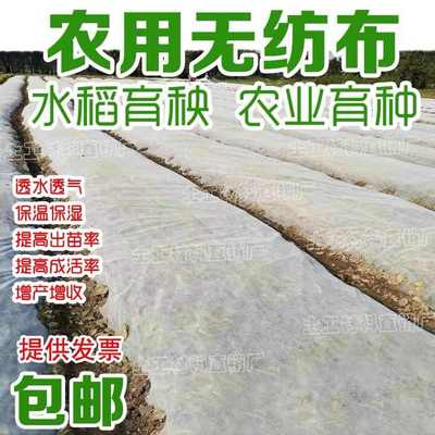 水稻育秧无纺布整卷建筑渗水透气保湿全新PP料草坪绿化覆盖育苗布