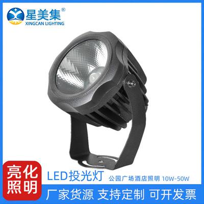 10W20W30W40W50W彩色公园假山照树庭院户外防水桥梁投光灯