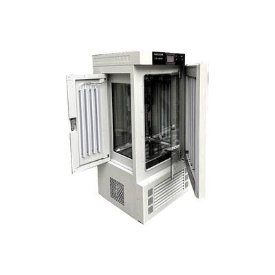 厂家生产PQX-250催芽箱质量保障终身维护