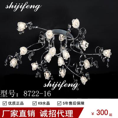ceiling lamp现代客厅异形灯个性创意大厅卧室餐厅灯具