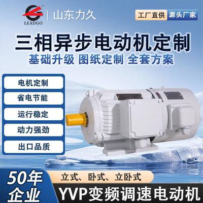 山东力久定制YVP变频调速3000rpm三相异步电动机纯铜线圈效速