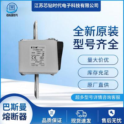 170M6750 170M6751巴斯曼BUSSMANN快速熔断器保险丝