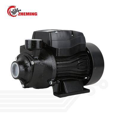 HQB60直流漩泵12V24V高扬程大流量直流太阳能地面泵DCsolarpump