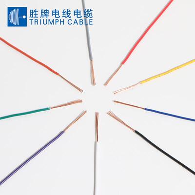 胜牌 FLR9Y-B 0.5mm 2.5mm 4.0mm 薄壁电动汽车线PP料高温线