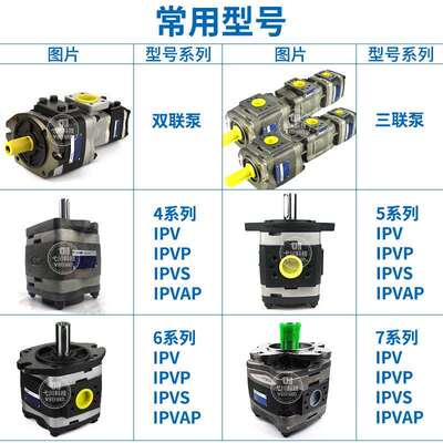 福伊特齿轮泵IPV/P3/4/5/6/7-8/13/32/40内啮合德国voith液压油泵
