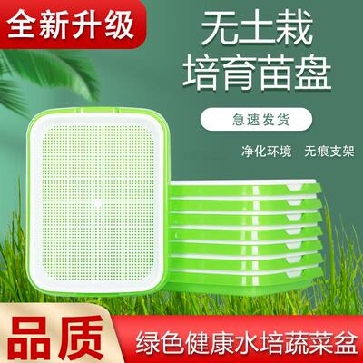 Cat Grass Seed Hydroponic Planting Kit, Soil-less Water Cult