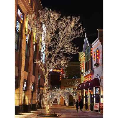 led warm white led string lights fairy string christmas ligh