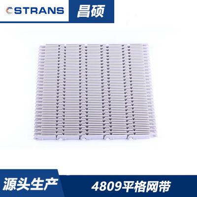 厂家销售4809平格网带喷淋杀菌食品级柔性网带输送突肋塑料网带