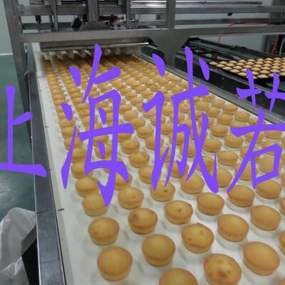 注心蛋糕产机 注心蛋黄派糕生小产设备 半自动量GCA蛋生产线