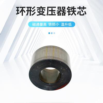 厂家直供环形变压器环牛铁芯取向型高导磁硅钢片100VA-5000VA按需