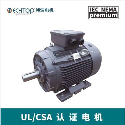 NEMA标准电机船级社电机超高效2/4/6/8级可选UL/CSA/CCS认证