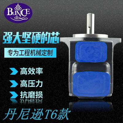 T6C-3/5/6/8/10/12/14/17/20/22/25/28/31-1R丹尼逊KST款液压油泵