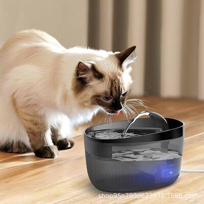 pet water fountain跨境2.2L宠物饮水机自动过滤软化水质缺水断电